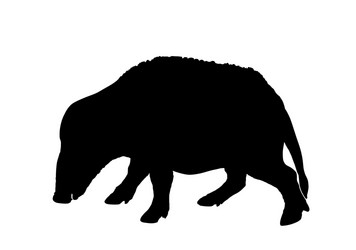 Bush Hog Vector Images (27)