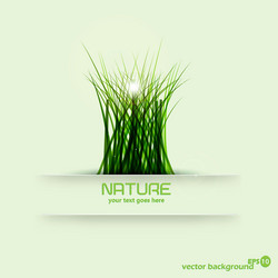 Grass Vector Images (over 340,000)