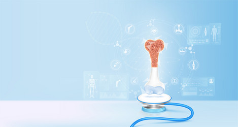 Bone joint healthy cartilage Royalty Free Vector Image