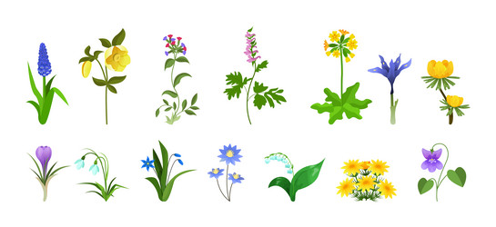 Background with spring flowers Royalty Free Vector Image