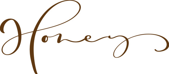 Happy bee day calligraphy lettering text Vector Image