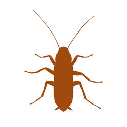 Cockroach Vector Images (over 7,800)