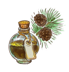 Sap Vector Images (over 1,200)