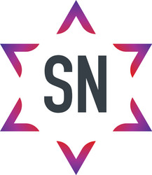 Initial letter ns star david creative logo design Vector Image