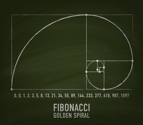 Golden fibonacci ratio spirals gold section Vector Image