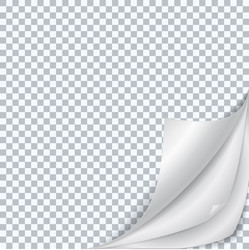 Paper Fold Vector Images (over 63,000)