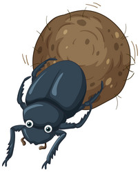 Dung beetle and the flies in cartoon style Vector Image