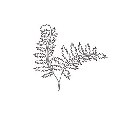 Fern Line Drawing Vector Images (over 1,000)