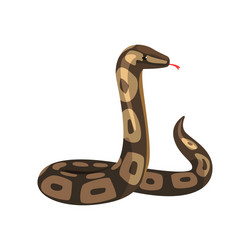 Cartoon python Royalty Free Vector Image - VectorStock