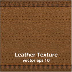 Lather texture Royalty Free Vector Image - VectorStock