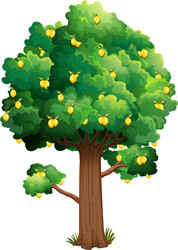 Cartoon Lemon Tree Vector Images (over 890)