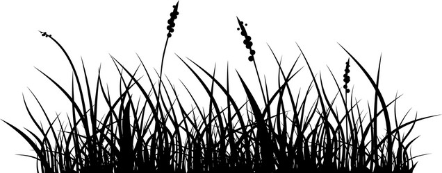 Grass silhouette Royalty Free Vector Image - VectorStock