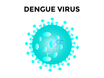 Dengue virus denv is the cause Royalty Free Vector Image