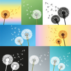 Blowing Dandelions Vector Images (over 2,600)