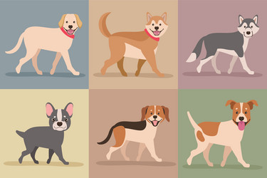 Cute six dogs animals Royalty Free Vector Image