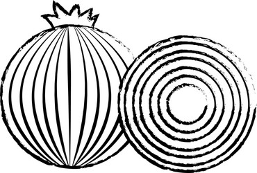 Onion Slice Coloring Page