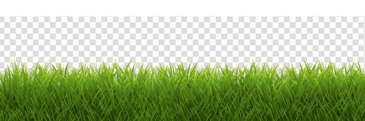 Green Border Vector Images (over 100,000)