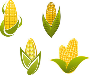 Corn Kernels Vector Images (over 3,500)