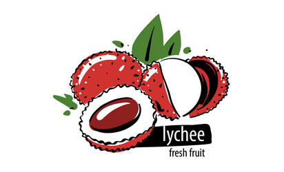 Lychee Background Vector Images (over 1,000)