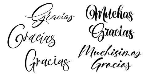 Gracias calligraphy spanish text lettering Vector Image