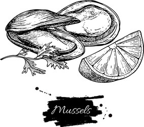 Mussel hand drawn engraved Royalty Free Vector Image
