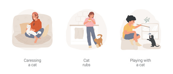 Cat owner routine isolated cartoon Royalty Free Vector Image