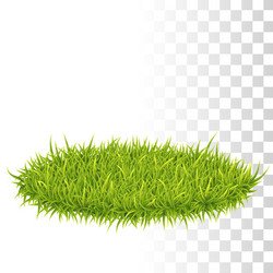 Oval green lawn grass texture Royalty Free Vector Image
