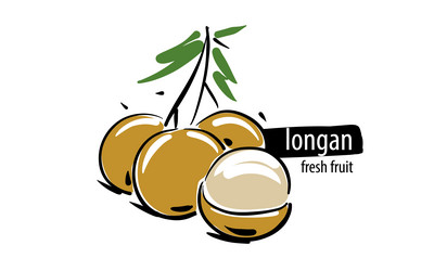 Longan logo Royalty Free Vector Image - VectorStock