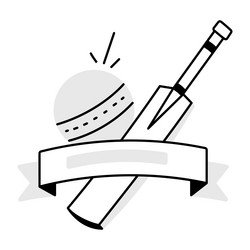 Cricket runs Royalty Free Vector Image - VectorStock