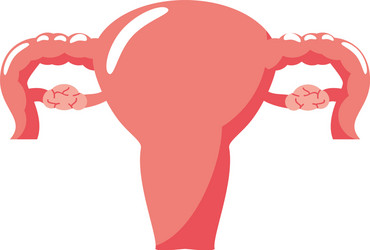 Reproductive Vector Images (over 20,000)