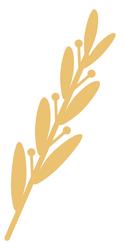 Wheat icon Royalty Free Vector Image - VectorStock