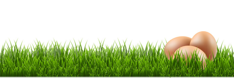 Healthy Food Border Vector Images (over 6,900)