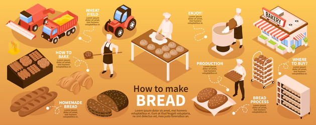 Bread production flowchart Royalty Free Vector Image