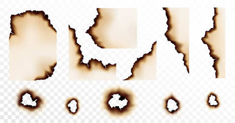 Faded Paper Hole Realistic Fire Vector Images (94)