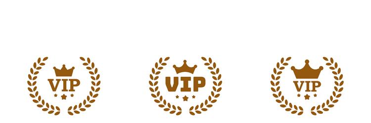 Exclusive member icon premium account Royalty Free Vector