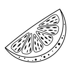 Orange Slice Line Art Vector Images (over 2,200)