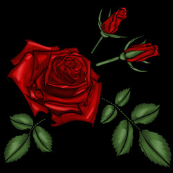 Red roses embroidery Royalty Free Vector Image