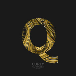 Leather textured letter r Royalty Free Vector Image