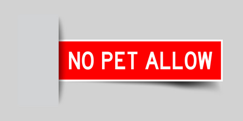 Red color arrow shape sticker label with word Vector Image