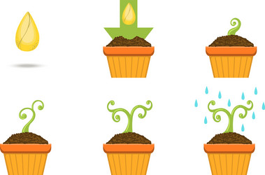 Plant growing process set gardening seedling Vector Image