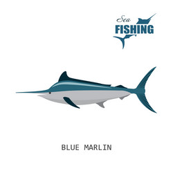 Blue Marlin Vector Images (over 1,400)