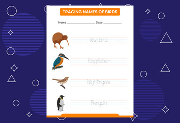 Trace the names of birds handwriting practice Vector Image