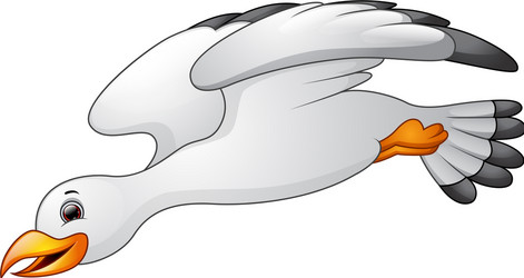 Cartoon seagulls flying Royalty Free Vector Image