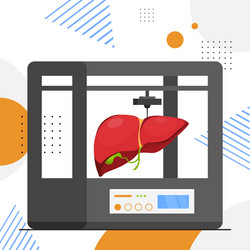 Liver model prints on 3d bio printer medical Vector Image