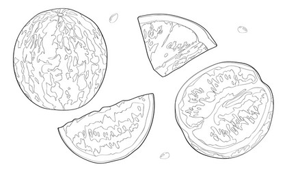 Watermelon Outline Engraved Vector Images (73)