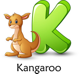 Letter r is for raccoon cartoon alphabet Vector Image