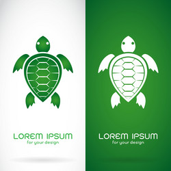 Turtle Royalty Free Vector Image - VectorStock