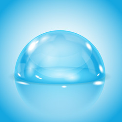 Glass dome shiny transparent semi sphere on gray Vector Image