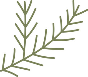 Conifer branch outline Royalty Free Vector Image
