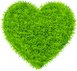 Heart on green grass Royalty Free Vector Image